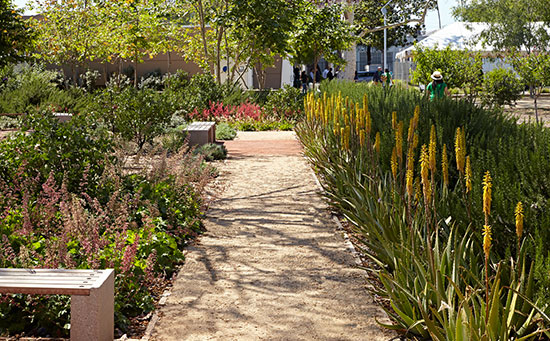 Fremont Community Garden